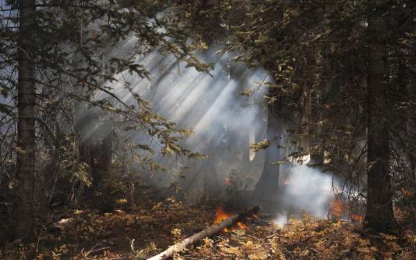 Artist on Artist: Ron Bechet on Ed Clark · Pelican Bomb