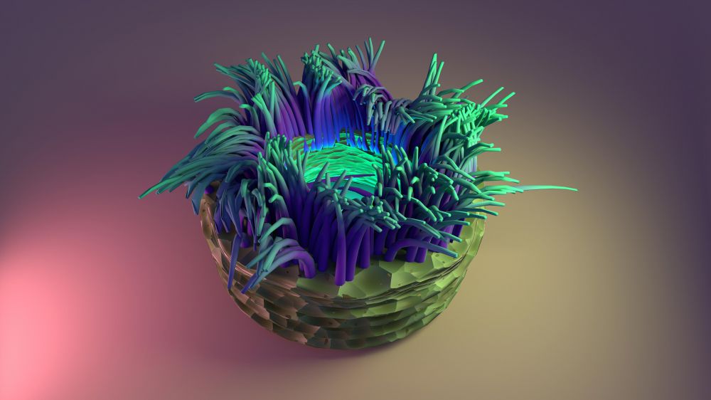 In the Cloud: Patrick Coll at The Front · Pelican Bomb